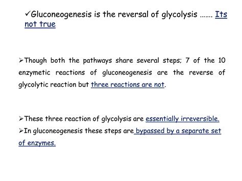 Diabetes And Gluconeogenesis Ppt