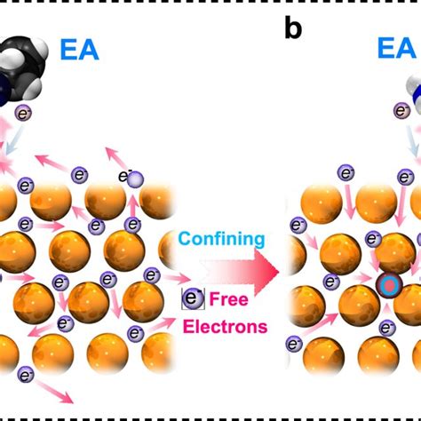 Schematic Diagram Of The Free Electron Regulation For The Metallic Cu