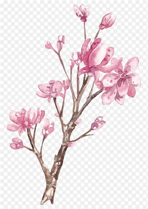 枝干上的花PNG图片素材下载 图片编号8939517 PNG素材网