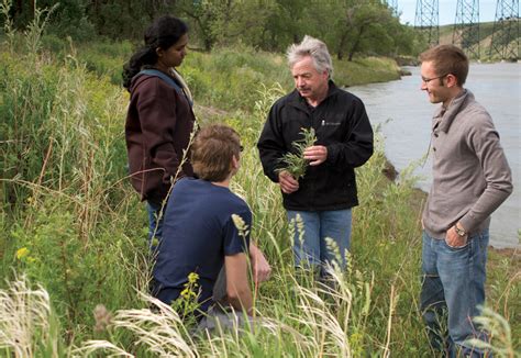 Functional Flows Unews