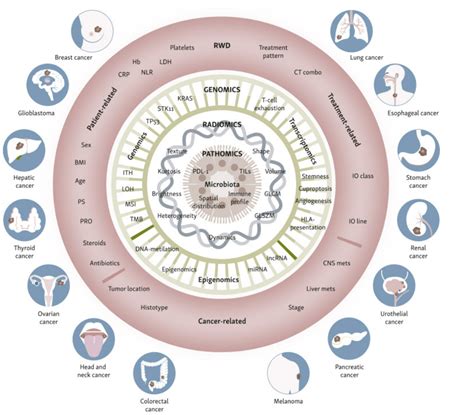 Ann Oncol 人工智能在免疫肿瘤学中预测性生物标志物发现：系统评价 生物科技 健康一线资讯