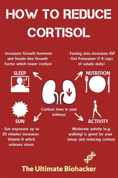 Foods To Avoid With High Cortisol Blend Of Bites Healthy Lifestyle Artofit