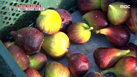 1912회 1 가평 유명인사의 정체는 2 20년 전통 생선구이 3 한치의 꾸밈도 없는 일상이란 4 0원짜리 의사들의 정체는 다시보기 오늘n