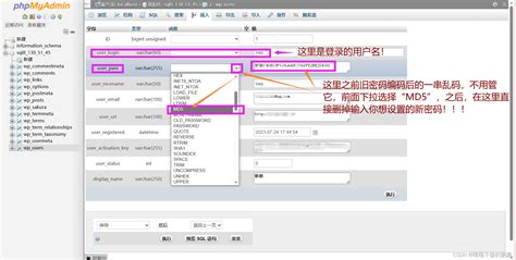 【wordpress】后台登录密码忘记后如何有效修改宝塔wordpress改密码 Csdn博客
