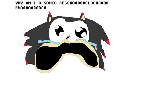 If Most Of The Sonic Ocs Had Consciousness Rmoonpissing