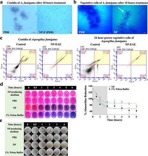 Broad Spectrum Antimicrobial Activities Of A Food Fermentate Of Aspergillus Oryzae