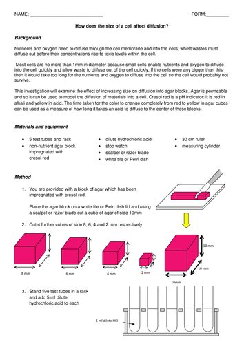 How Does The Size Of A Cell Affect Diffusion Teaching Resources