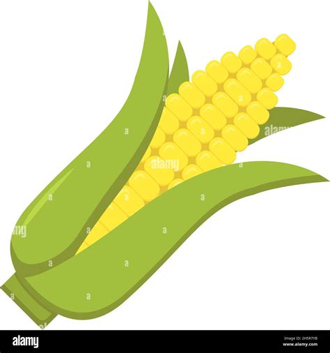 Corn Cob On White Background In Flat Style Stock Vector Image And Art Alamy