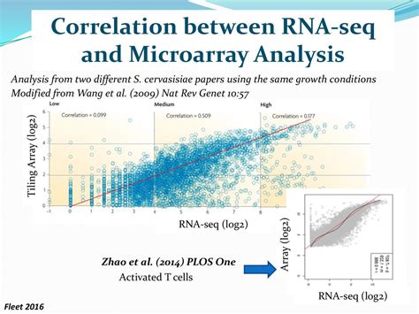 Many Sample Size And Power Calculators Exist On Line Ppt Download