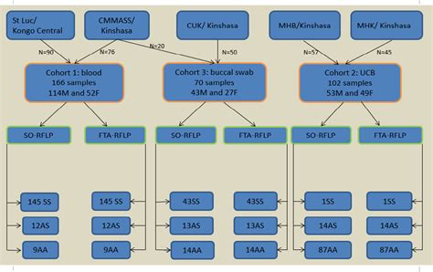 Study Algorithm And Results The Top Row Presents The Five Institutions