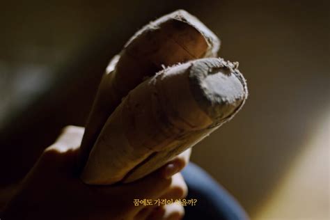 꿈에도 가격이 있을까 디마이너스원 D 1