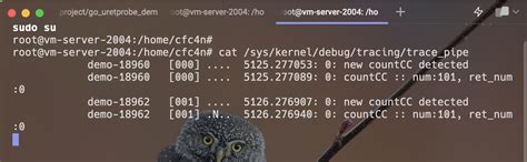Golang Uretprobe的崩溃与模拟实现 Cfc4n的博客
