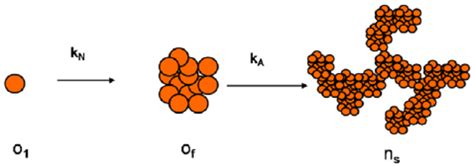 Schematic Representation Of The Nucleation Aggregation Process The Download Scientific Diagram