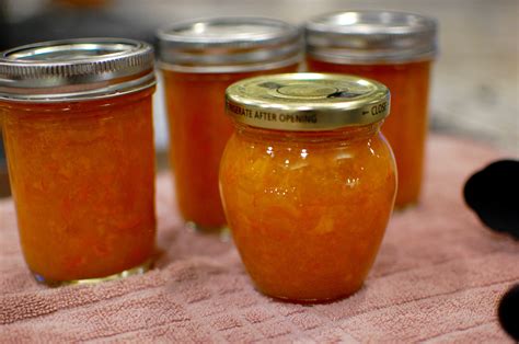 Fuyu Persimmon Jelly Recipe Bryont Blog Fuyu Persimmon Jelly Recipe Bryont Blog