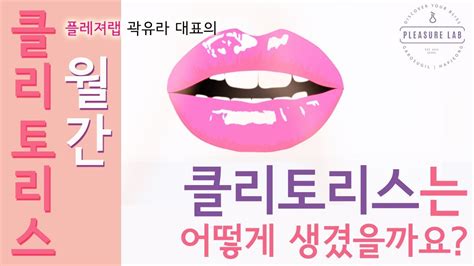 Tv Pleasurelab Youtube