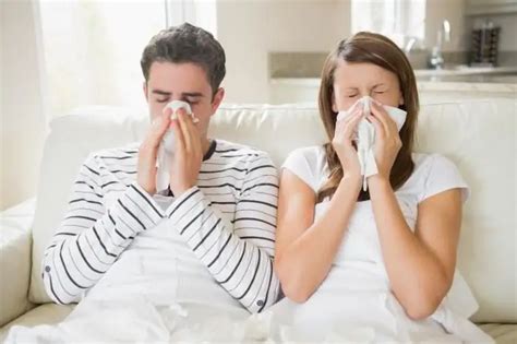 Antibiotics For Flu And Colds What You Need To Know Drugs