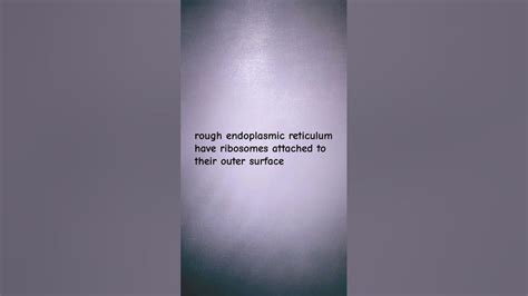 Biology Difference Between Rer And Ser Youtube