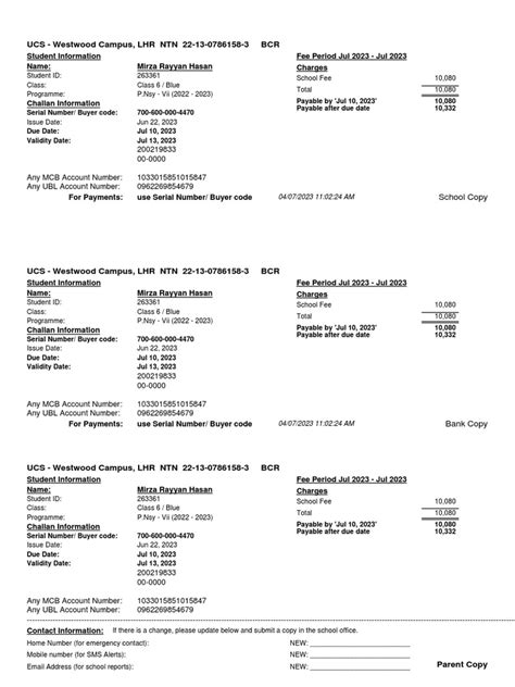 Mirza Rayyan Hassan Class 6 Pdf Service Industries Payments
