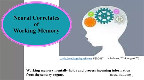 Neural Correlates Of Working Memory Ppt