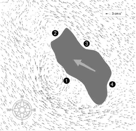 Snapshot From CFD Simulations Representing Average Flow Conditions With Download Scientific