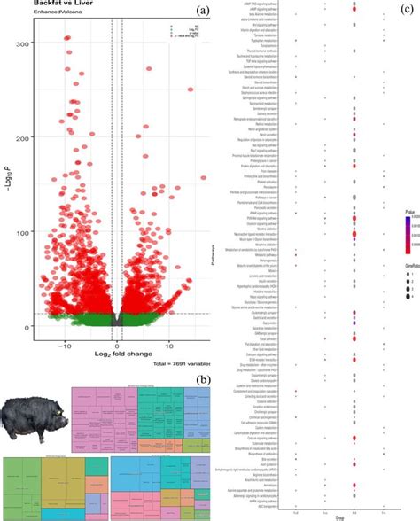 Comparative Methylation And Rna Seq Expression Analysis In Cpg Context To Identify Genes