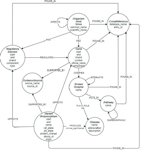 covprot graph data model download scientific diagram