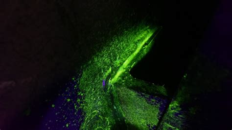 Cts Construction Testing Services Services