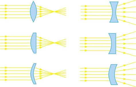 755 Convex Lens With Object Royalty Free Photos And Stock Images Shutterstock