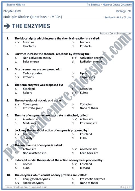 Biology Enzymes Exam Questions