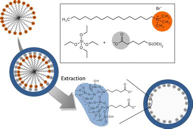 Carboxylic Acid Functionalized Porous Silica Particles By A Co