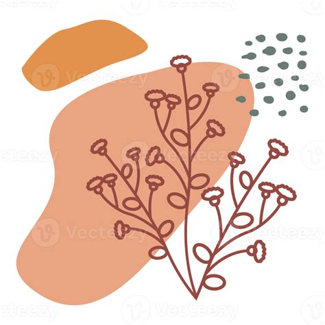 Aesthetic Boho Blob Shape And Outline Flower 11382395 PNG