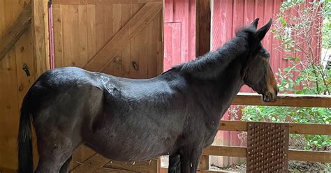 F1 A Distributed Sql Database That Scales