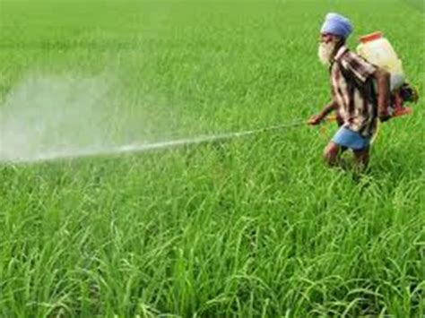 Powder Agricultural Insecticides Pesticides At ₹ 500kg In Surat Id