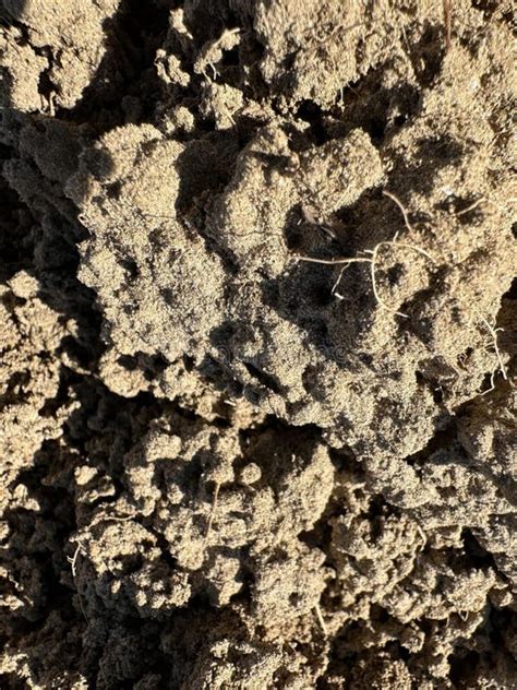 Close Up Of Dry Crumbly Soil Texture Stock Image Image Of Flower