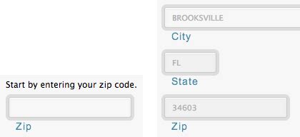Form Field Techniques To Control User Input