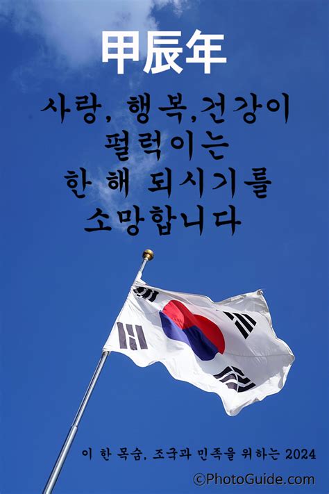 새해 인사말 2024 새해 인사 카드 무료 이미지 새해 인사 문구 모음