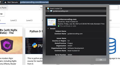 Amazon S3 Cloudfront S3 Ec2 Domain Name Shows Unsecure Even