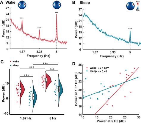 Average Meg Sensor Level Temporal Sensors Responses Under Wake And Download Scientific