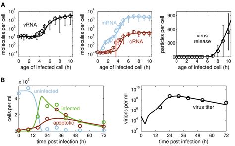 24 Model Fit To Measurements Of Intracellular And Extracellular Download Scientific Diagram