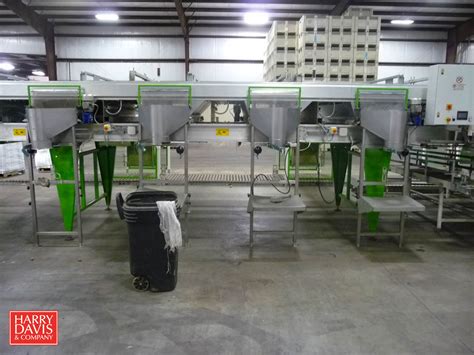 Complete Onion Sorting Grading Bagging System Harry Davis Company