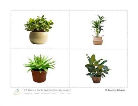 Matching Non Identical Picture Cards Household Items By Boosting Behavior