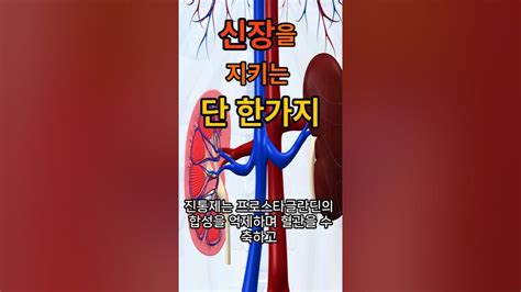 신장투석 신장질환 신장에 좋은 음식 신장투석병원이 늘어난 이유 Youtube
