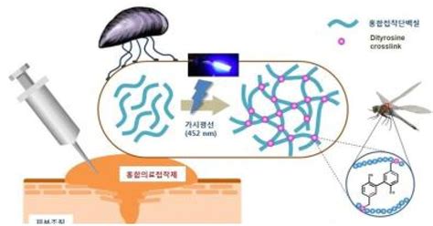 수술용 실 대체가능한 홍합 순간조직접착제 개발
