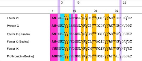Lipid Specificity Of The Membrane Binding Domain Of Coagulation Factor