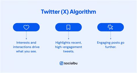 Social Media Algorithm In 2025 A Detailed Guide