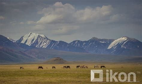 ФОТО Хархираа Түргэний өндөр уулс