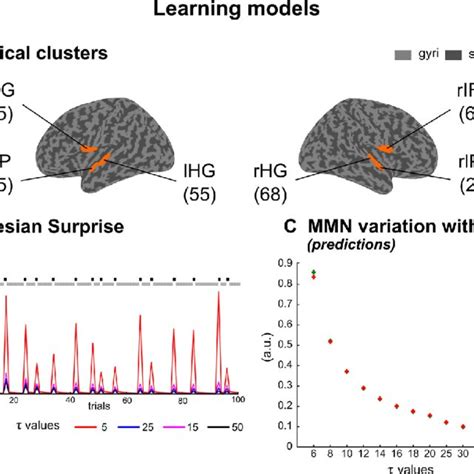 Perceptual Learning Models A Each Cluster Of Interest Is Represented