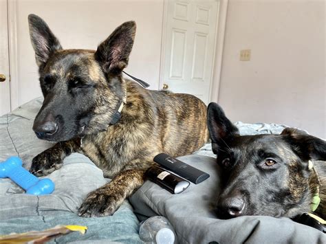 Help W Low Resolution R Picrequests