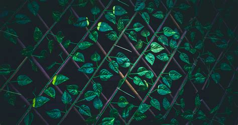 AWS Previews VPC Lattice For Service To Service Communication InfoQ