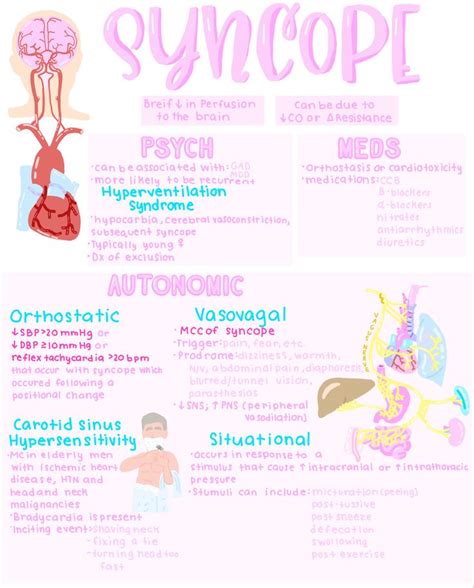 Syncope Notes Nursing School Survival Nursing School Motivation